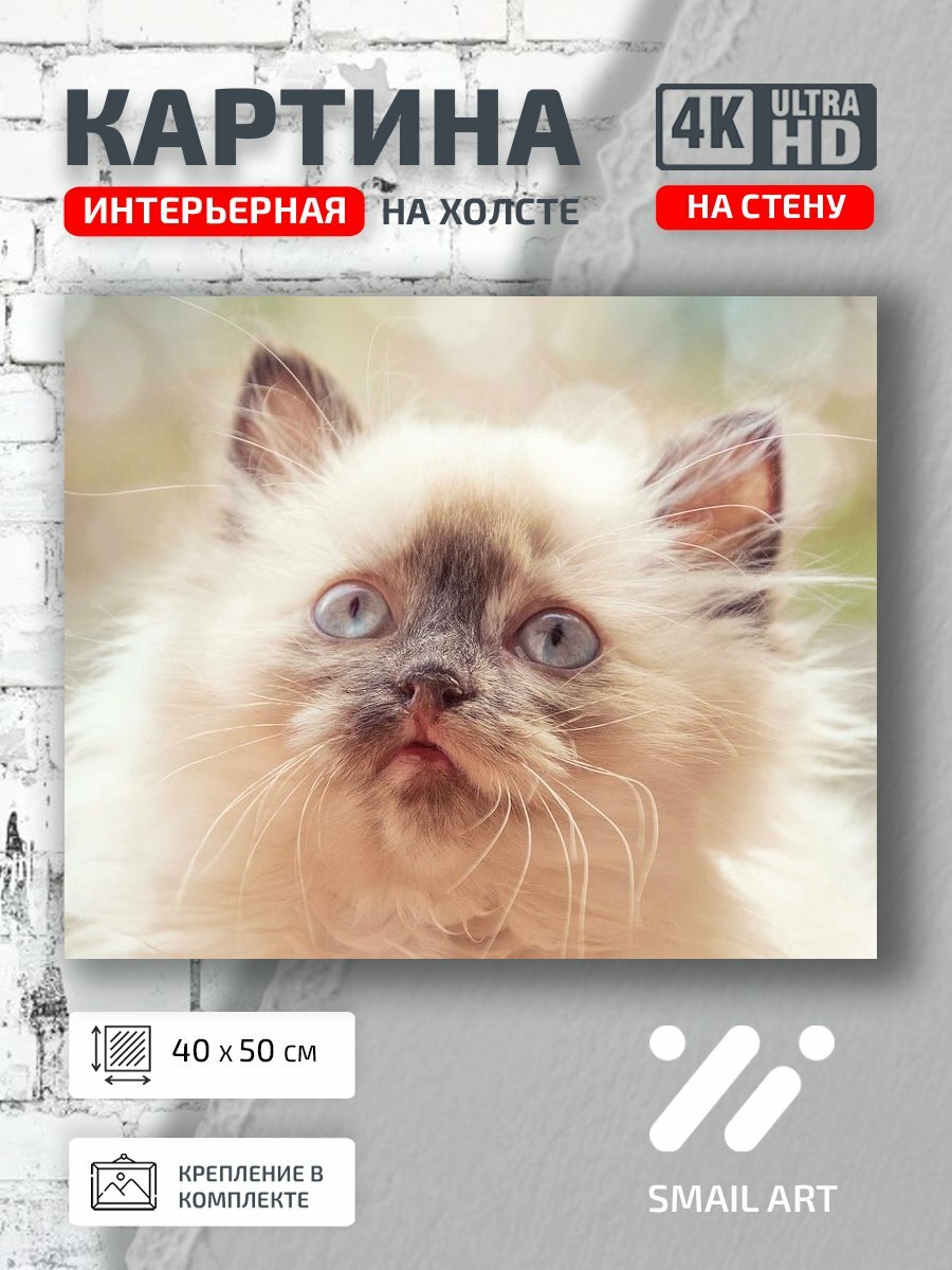 Картина на холсте интерьерная 40 на 50 на стену Взгляд Animal для кабинета animal style