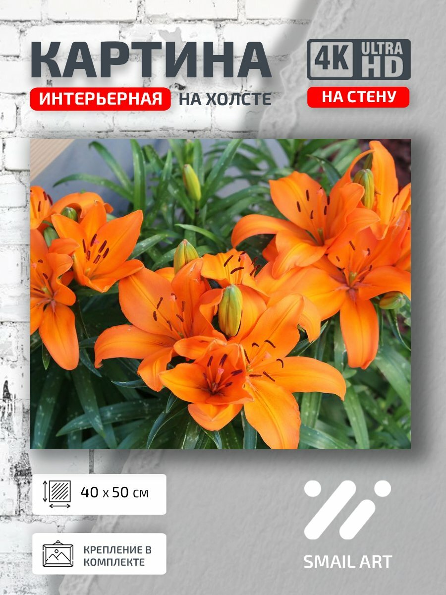 Картина на холсте интерьерная 40 на 50 на стену Лилии Mood для студии атмосфера интерьер