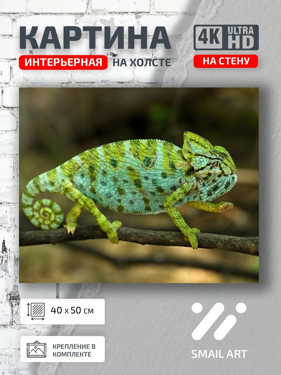 Картина на холсте интерьерная 40 на 50 на стену Ящерица Mood для кабинета атмосфера декор