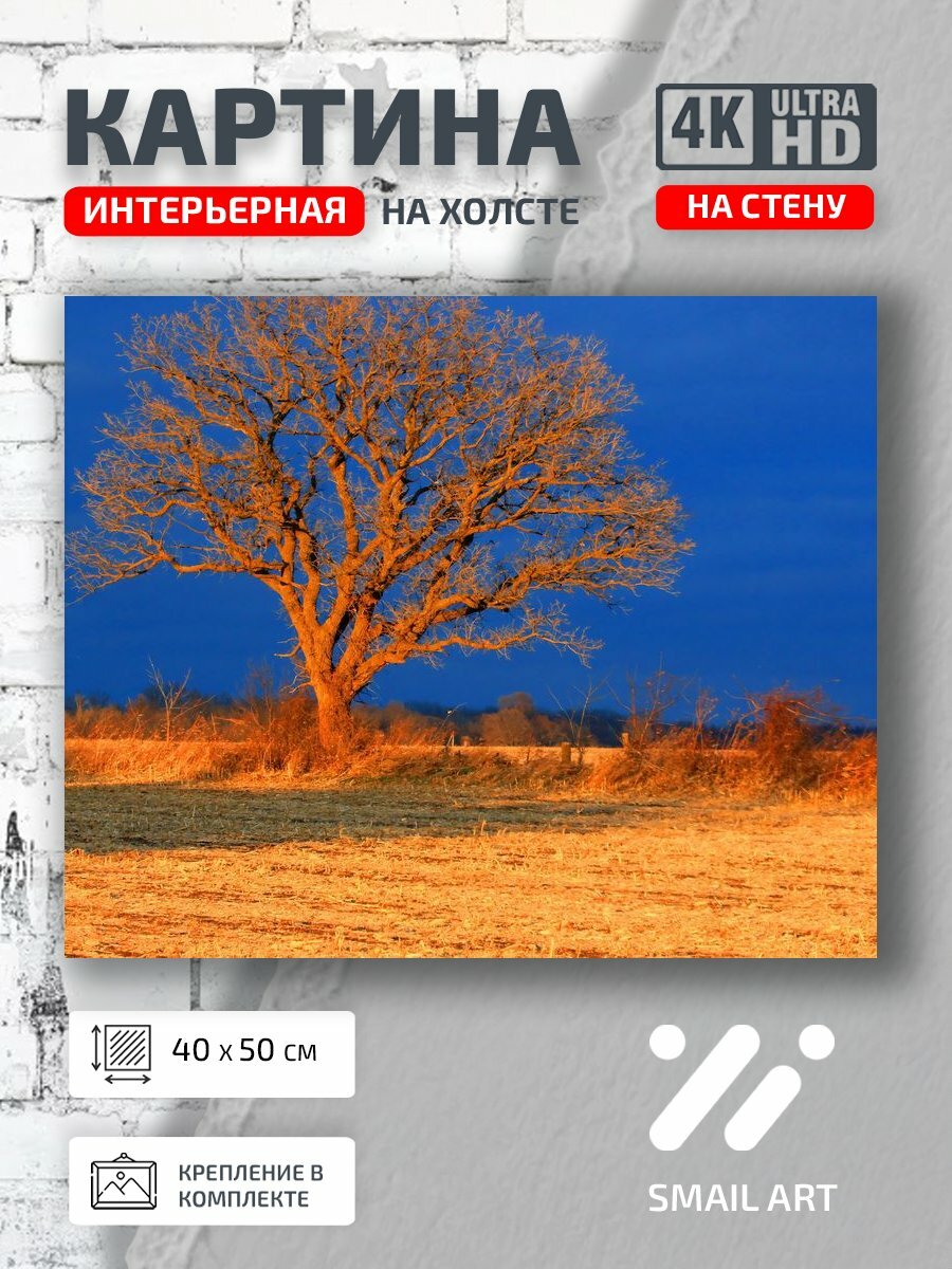 Картина на холсте интерьерная 40 на 50 на стену Африка Landscape для гостиной пейзаж декор