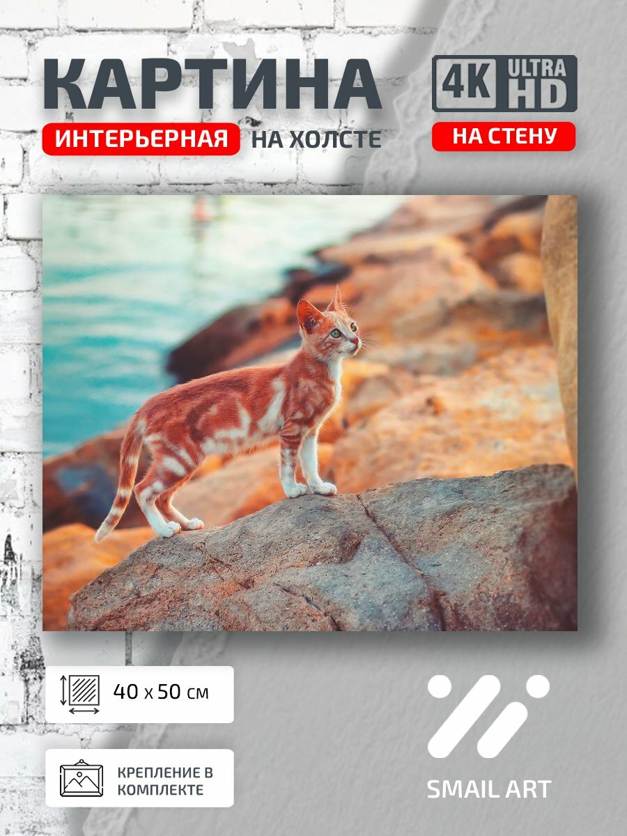 Картина на холсте интерьерная 40 на 50 на стену Камни Animal для кафе animal style интерьер