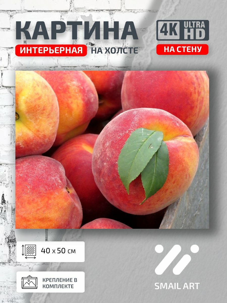 Картина на холсте интерьерная 40 на 50 на стену Ящике Food для кафе кулинария интерьер