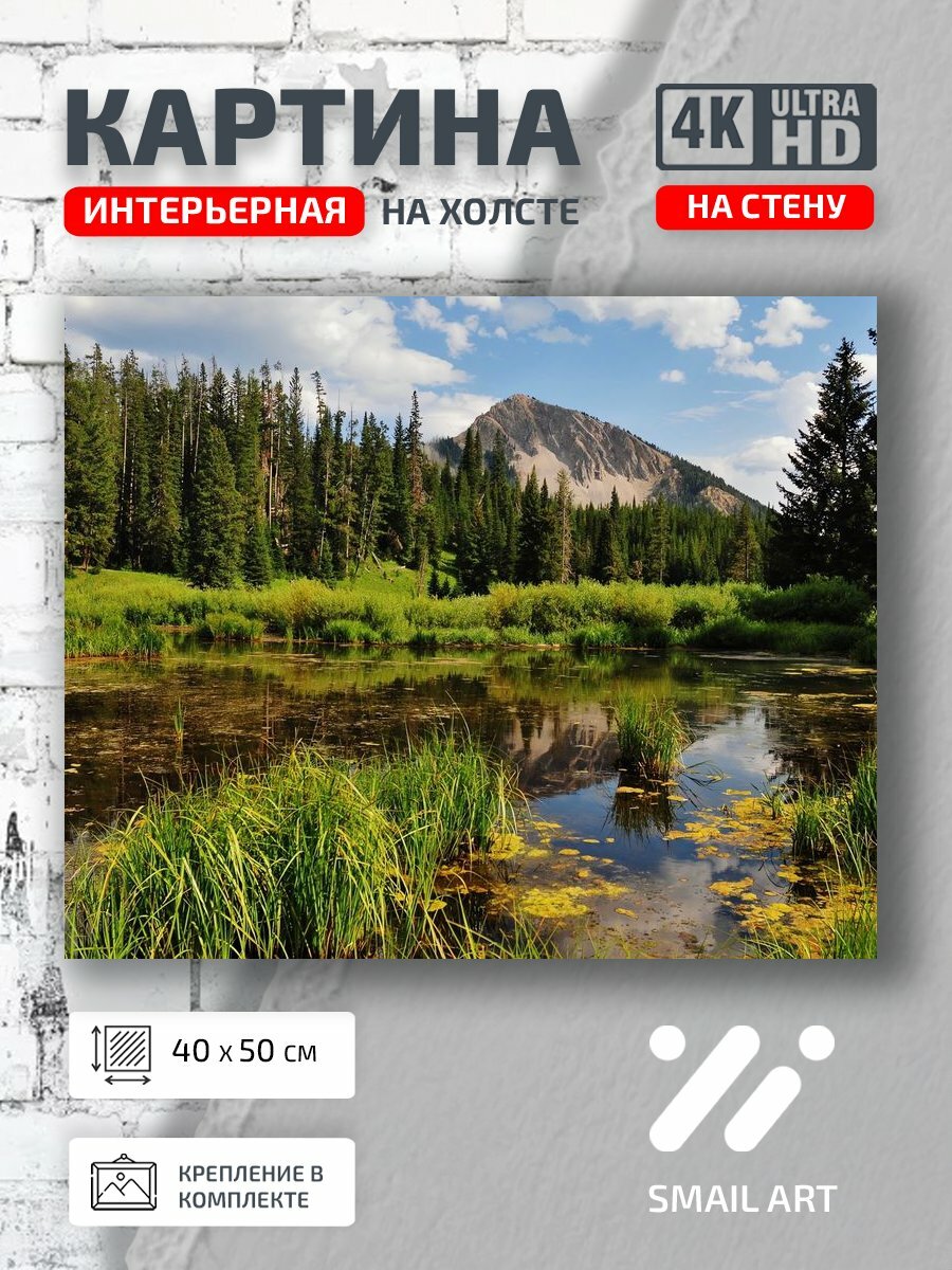 Картина на холсте интерьерная 40 на 50 на стену Деревья Landscape для кафе пейзаж интерьер