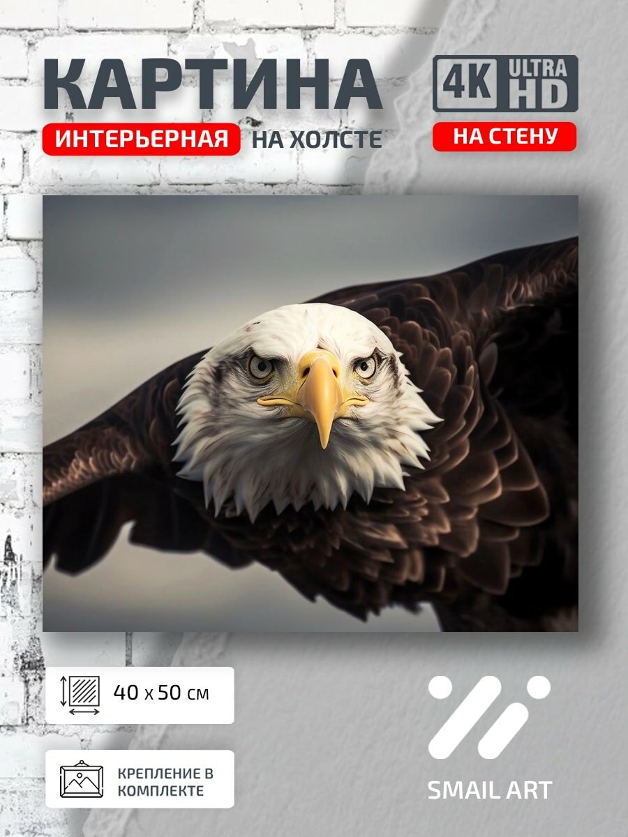 Картина на холсте интерьерная 40 на 50 на стену Белоголовый орлан для студии атмосфера