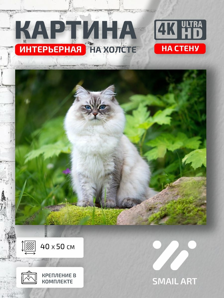 Картина на холсте интерьерная 40 на 50 на стену Пушистый Animal для кафе animal style декор