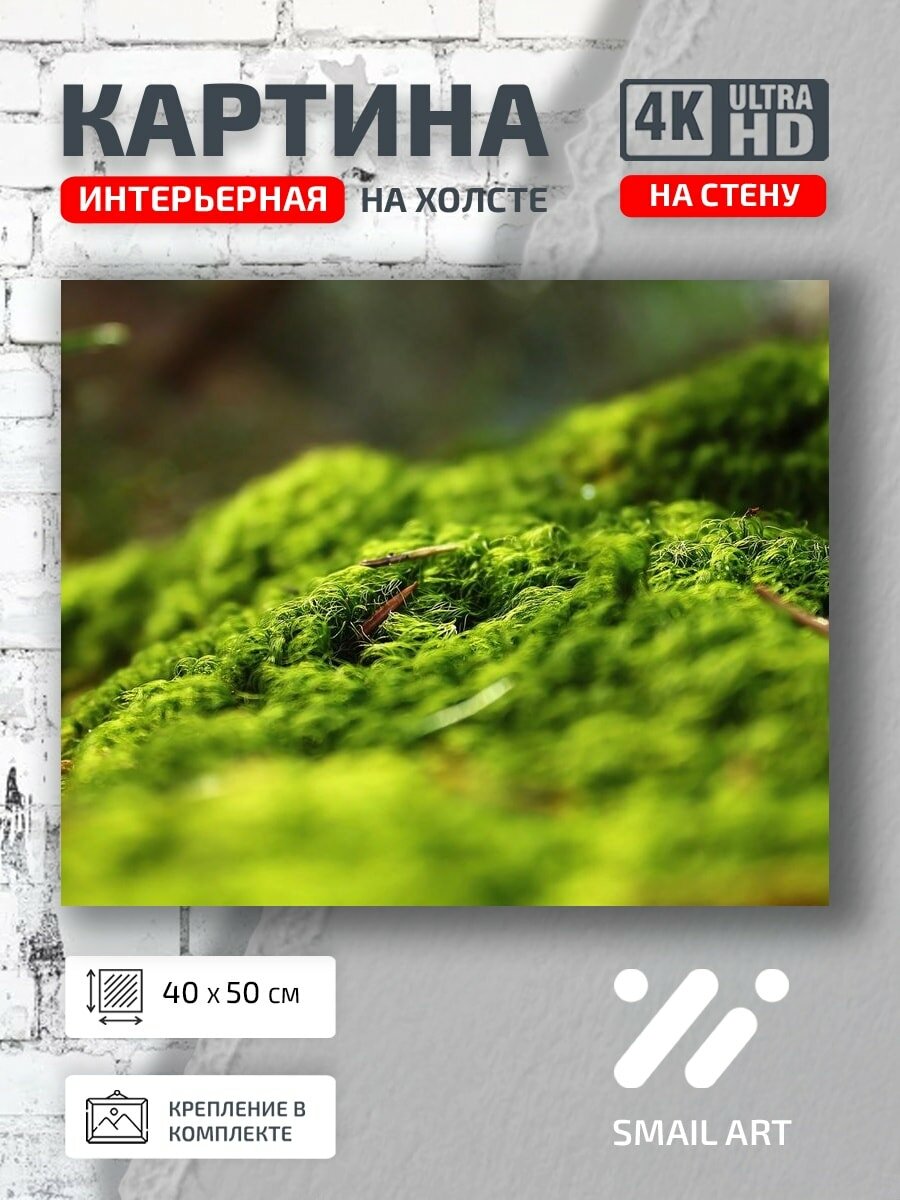 Картина на холсте интерьерная 40 на 50 на стену Forest Springtime для кабинета пейзаж