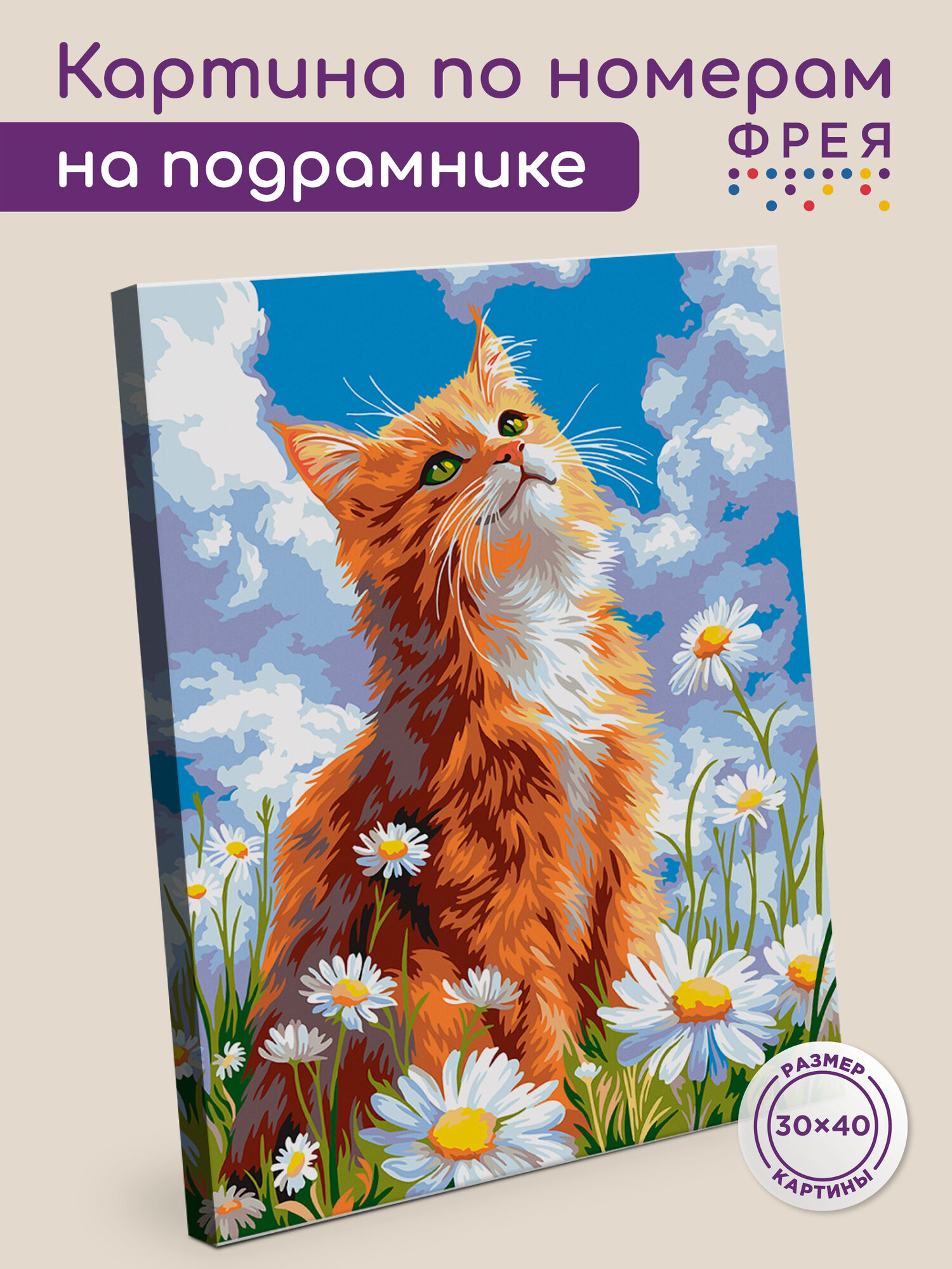 Картина по номерам с холстом на подрамнике "фрея" 40х30 см PNB/PM-393 "Котик в ромашках"