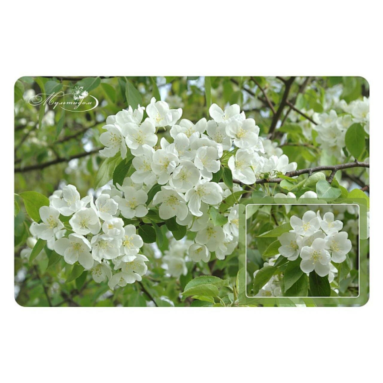 Салфетка Мультидом "Цветущая яблоня", пластик, водоотталкивающая, 28х44 см