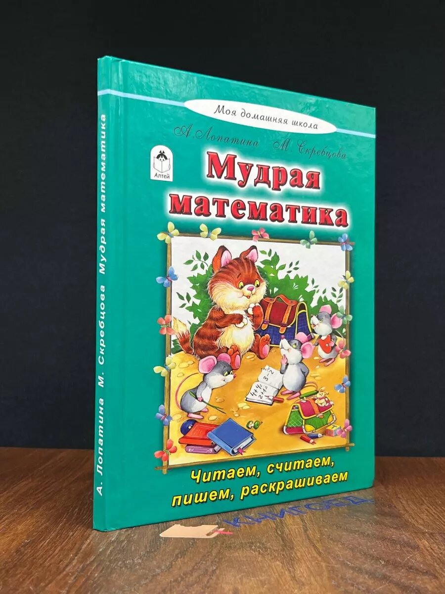 Книга. Мудрая математика 2017 (2039666894621)
