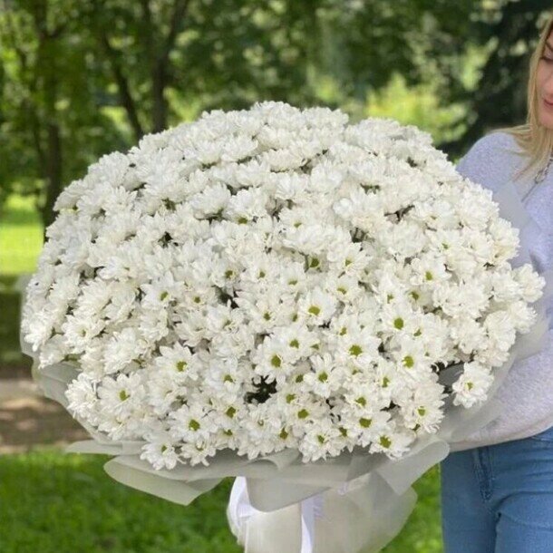 Букет Well Flowers, хризантемы, круглый, на стеблях, монобукет, 51 цветок, букет свежих цветов