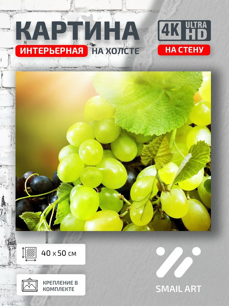 Картина на холсте интерьерная 40 на 50 на стену Винограда Food для кафе кулинария интерьер
