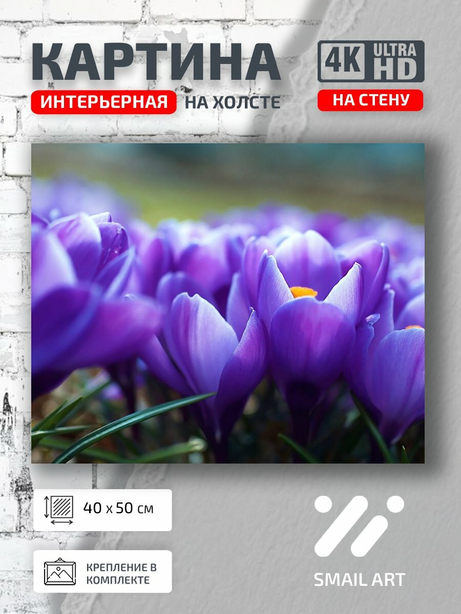 Картина на холсте интерьерная 40 на 50 на стену Нежно-фиолетовые Mood для спальни атмосфера
