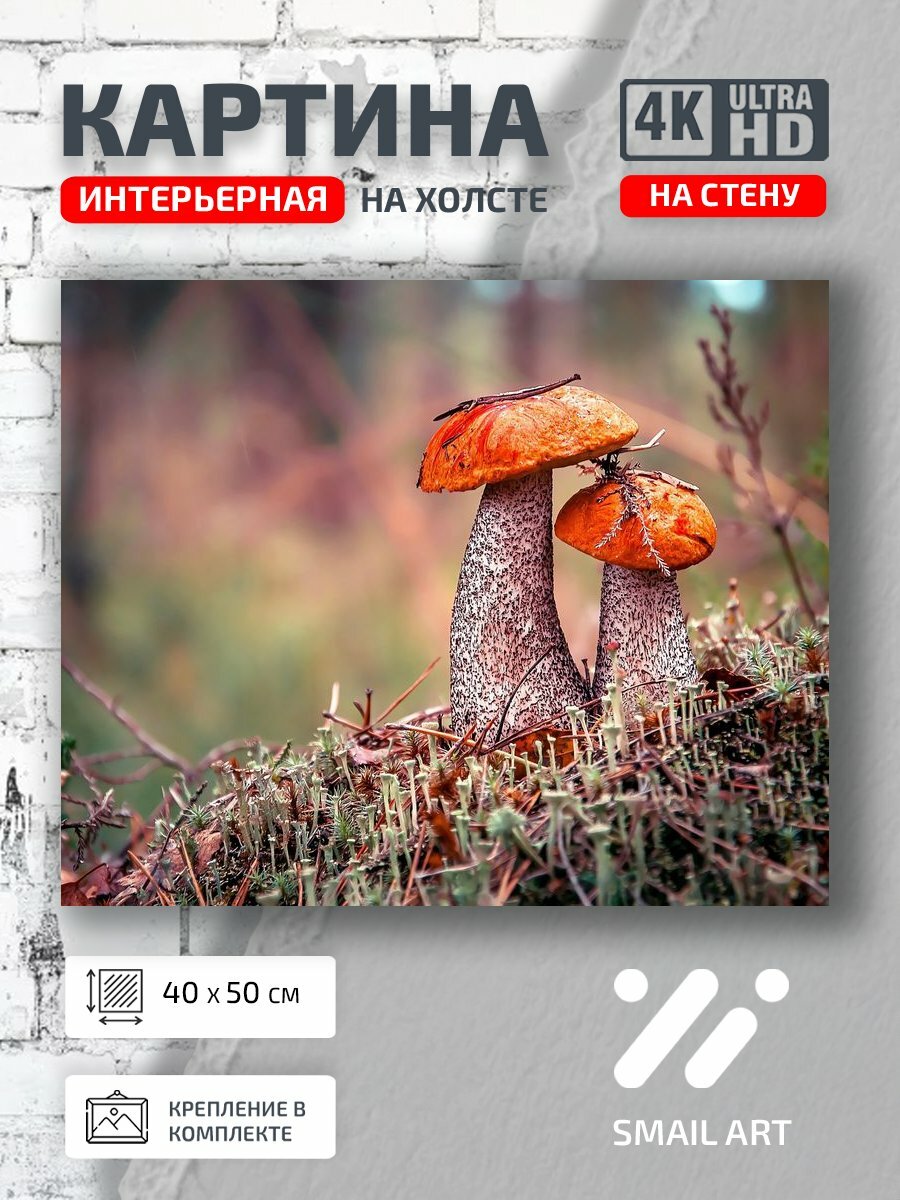 Картина на холсте интерьерная 40 на 50 на стену Грибы Landscape для кафе пейзаж интерьер