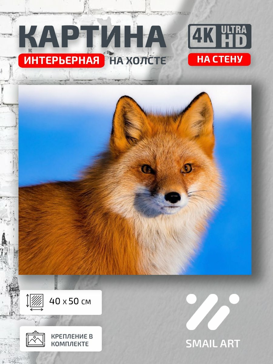 Картина на холсте интерьерная 40 на 50 на стену Хищник Animal для кафе animal style декор