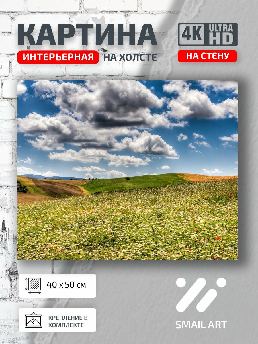 Картина на холсте интерьерная 40 на 50 на стену Ромашек Landscape для спальни пейзаж декор