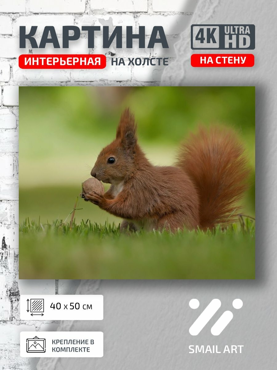 Картина на холсте интерьерная 40 на 50 на стену Орех Mood для спальни атмосфера интерьер