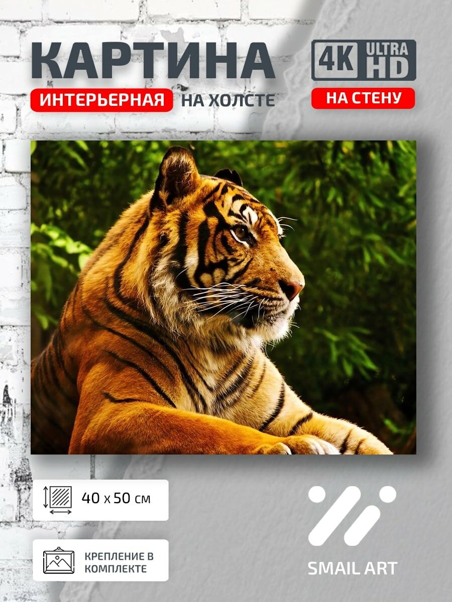 Картина на холсте интерьерная 40 на 50 на стену Quiet Tiger для кабинета animal style