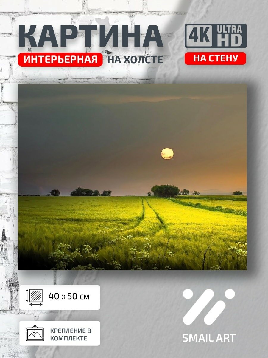 Картина на холсте интерьерная 40 на 50 на стену Пейзаж поляна для студии атмосфера