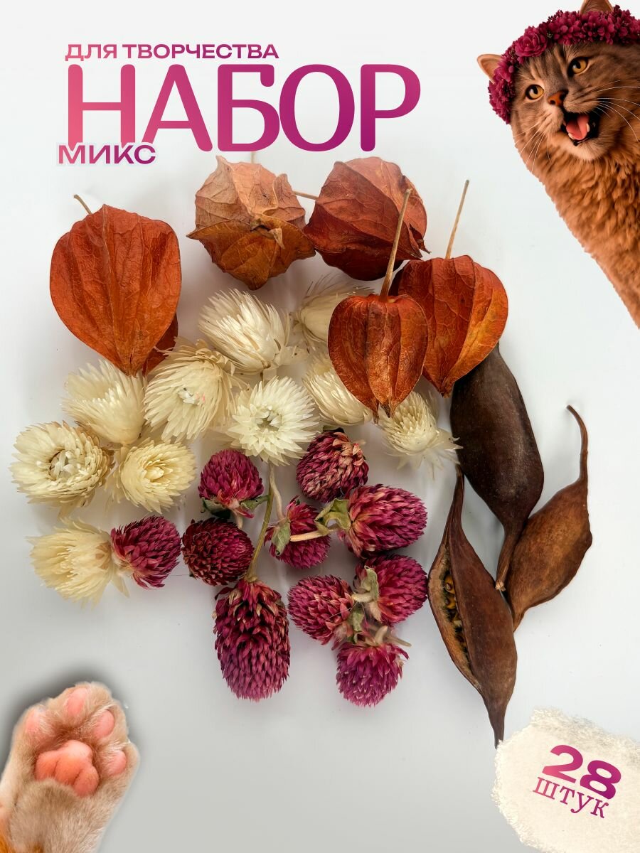 Физалис, синкарфа, гомфрена бутоны для творчества, 28 шт
