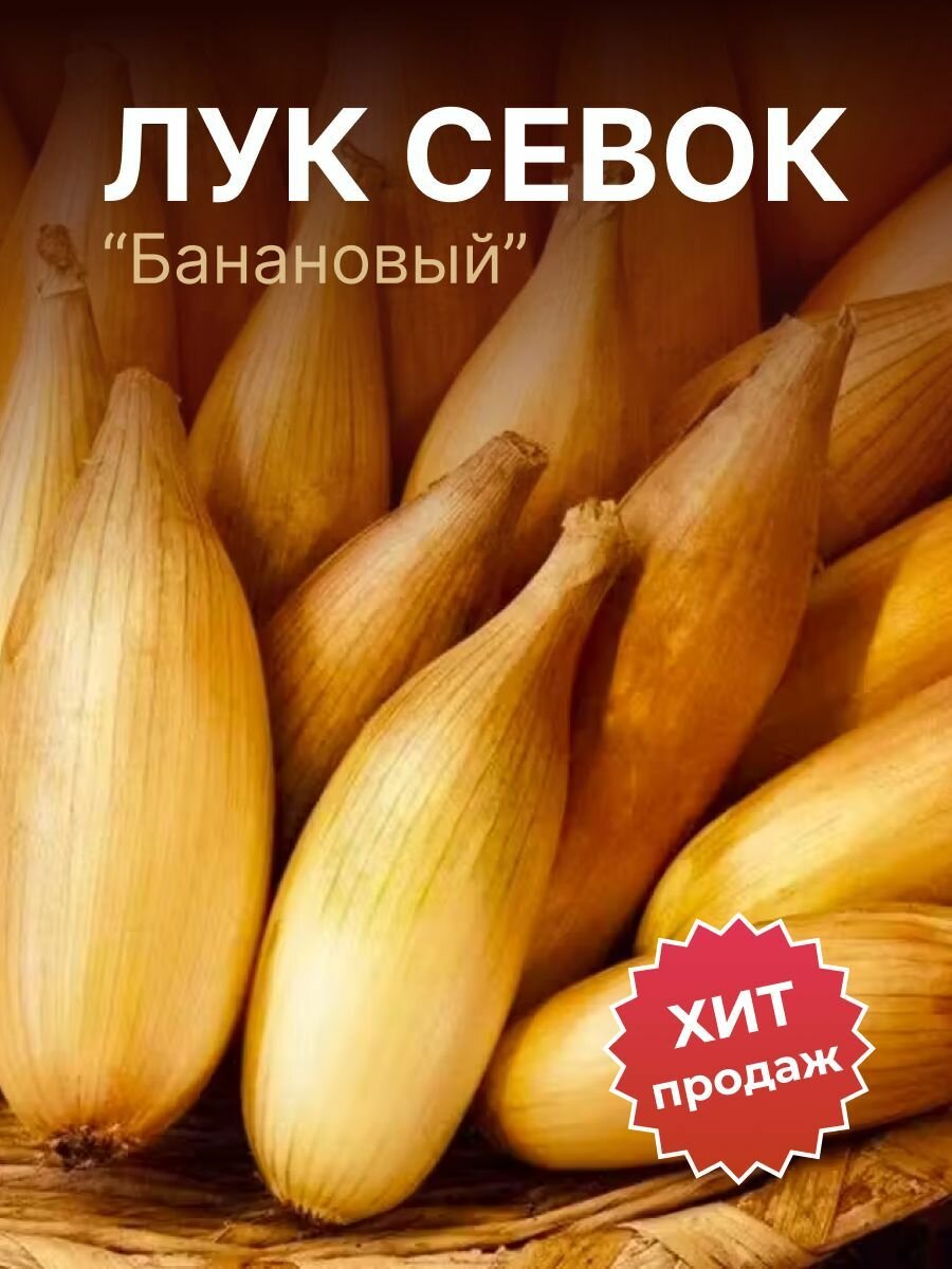 Лук севок Банановый 500гр