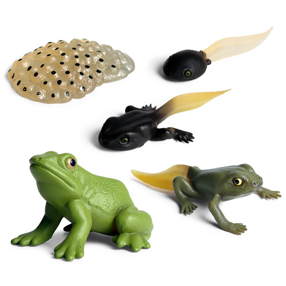 Мини-модель животного: Петух, Муравей, Лягушка, Черепаха, Комар, ПВХ Фигурки, Кукла, Игрушка для детей, Имитация цикла роста животных, Развивающая обучающая игрушка