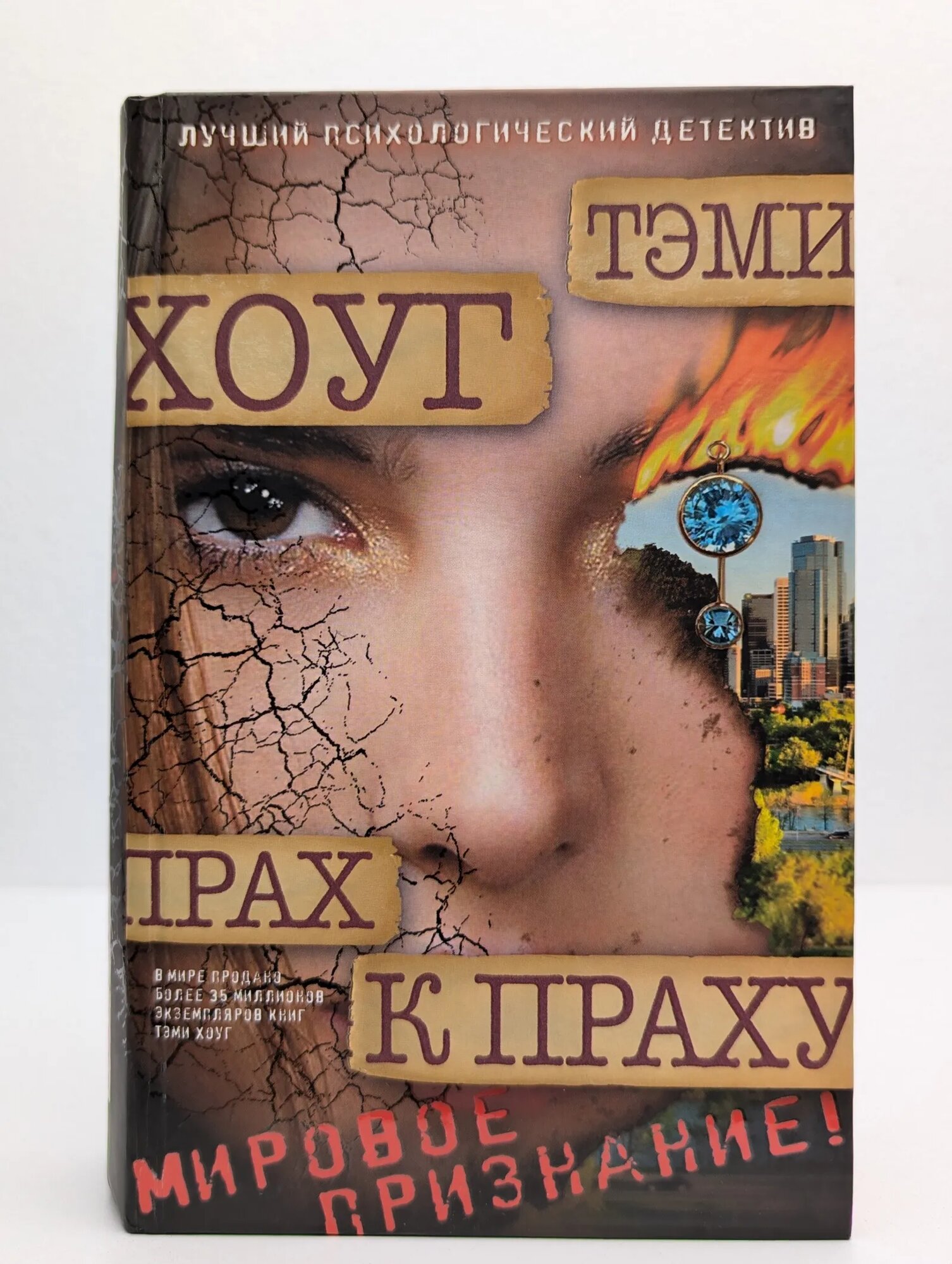 Прах к праху Хоуг Тэми 2013