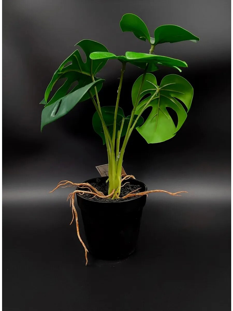 Цветок искусственный в горшке "Монстера"