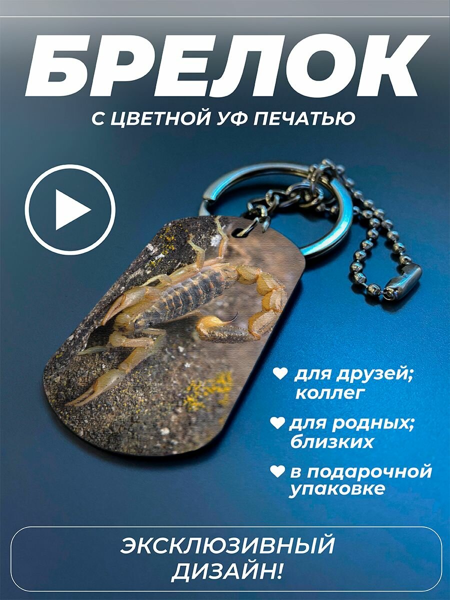 Брелок PNP