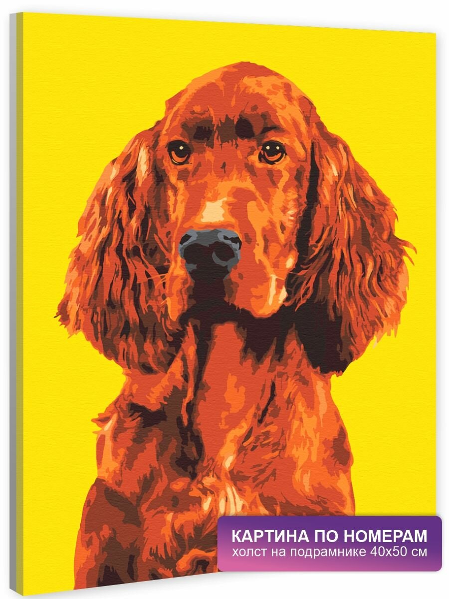 Картина по номерам на холсте с подрамником 40х50 см. Природа, животные, рыбы, птицы. Собаки, щенки. "Спаниель ", арт. 4495/