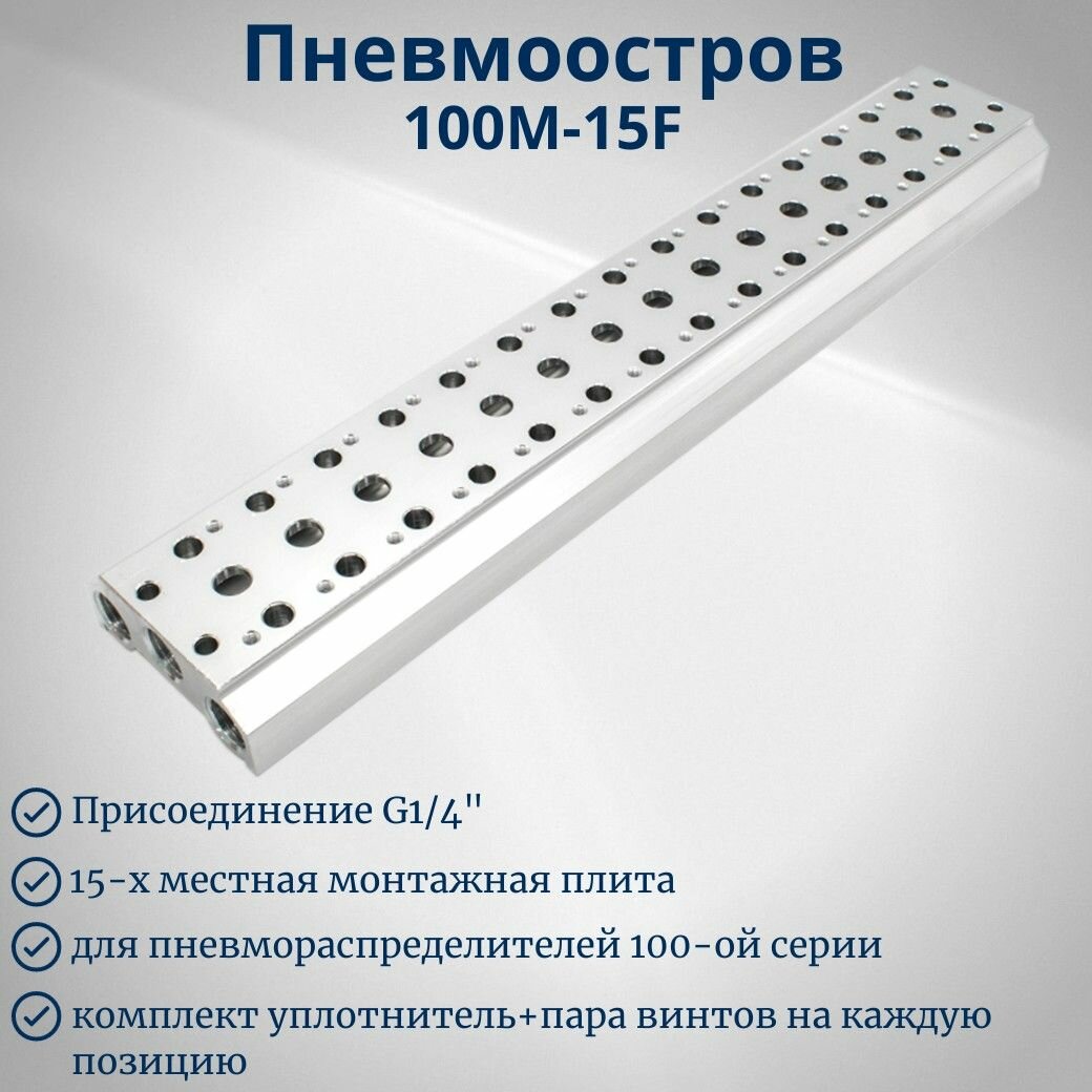 Плита монтажная 100M-15F