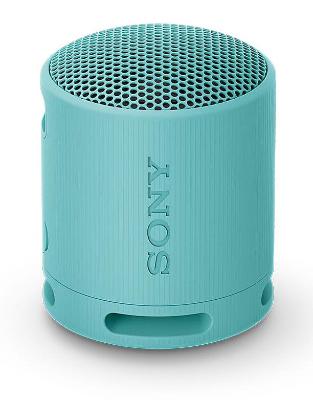 Портативная беспроводная колонка Sony SRS-XB100 (синий)