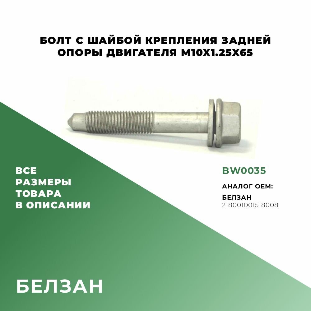 Болт с шайбой задней опоры двигателя M10х65х1,25; ОЕМ:218001001518008; BW0035