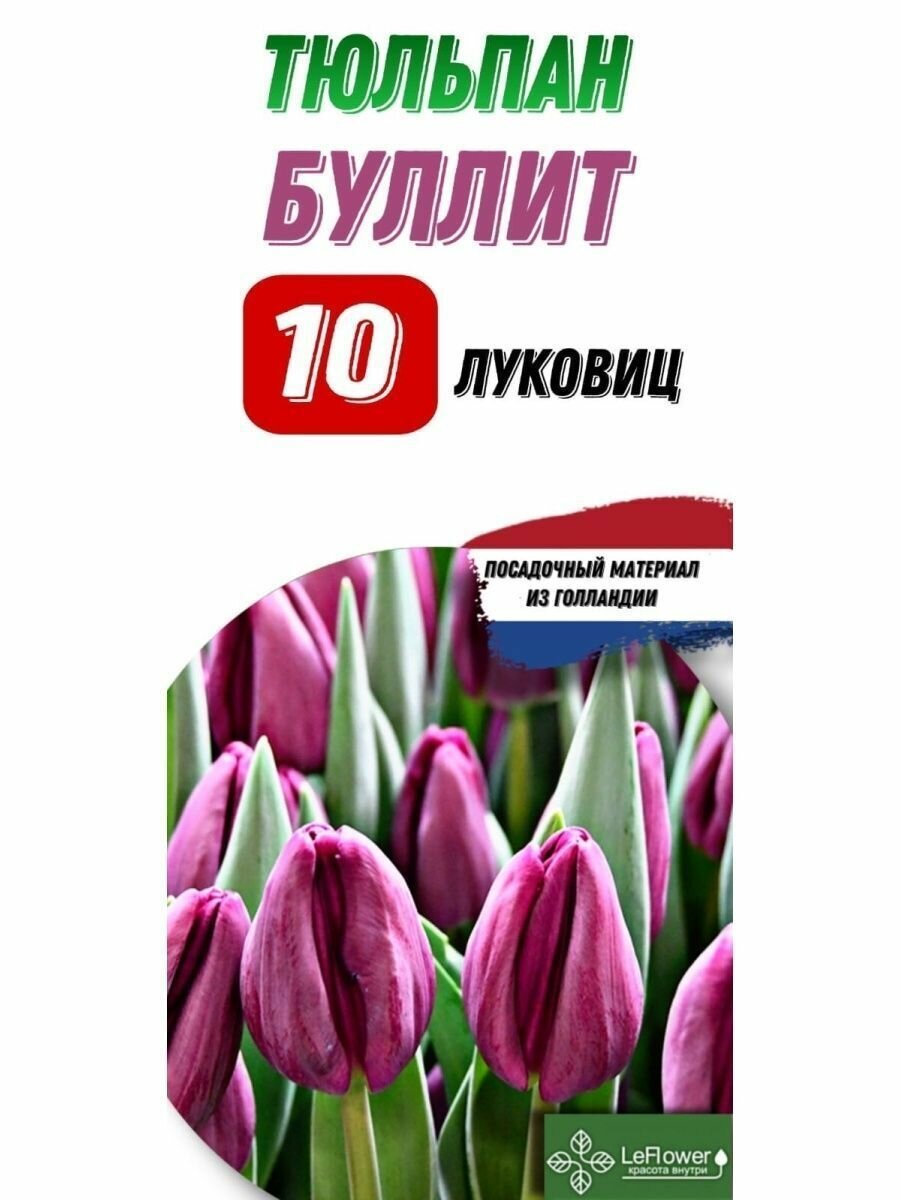 Тюльпан Луковица, Буллит, 10шт (Тюльпаны)