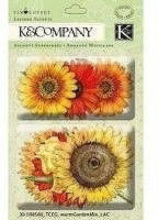 Декоративные украшения K&Company "Теплый сад", Кардсток, для скрапбукинга