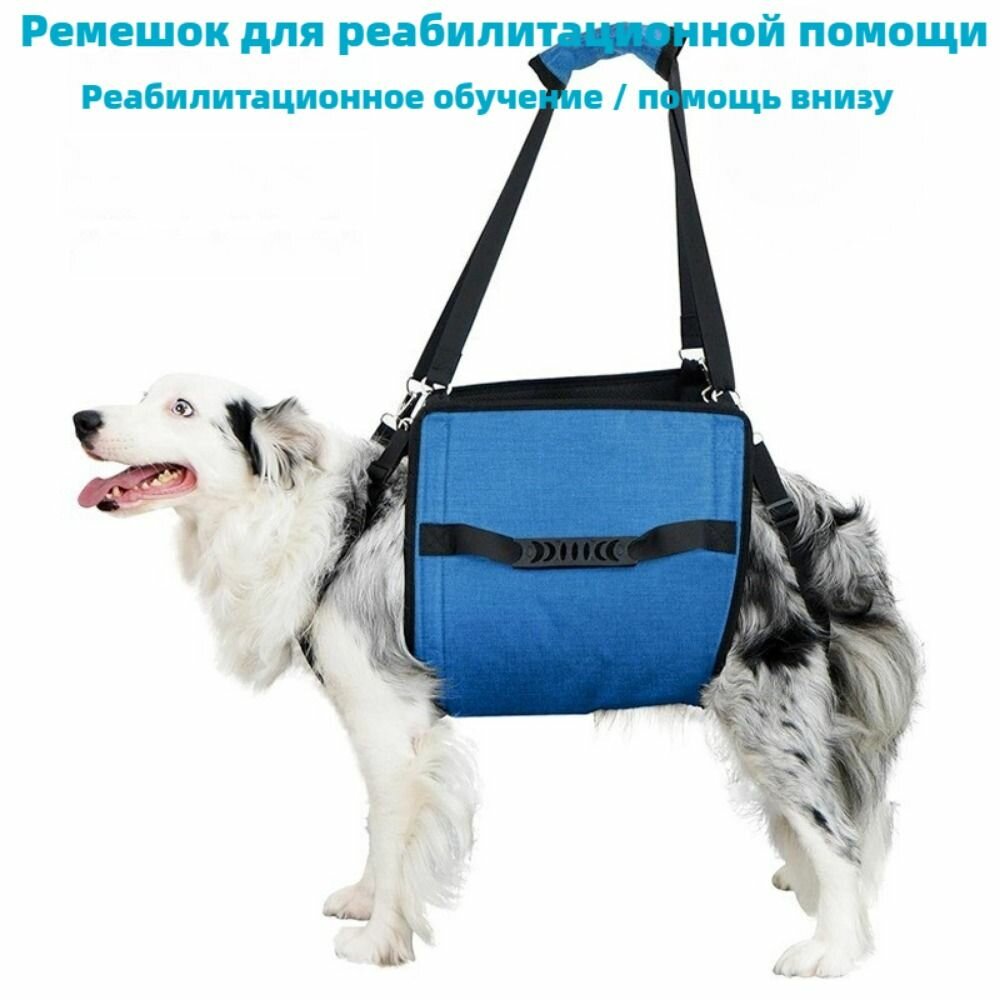 Ходунки для собак, поддержка пожилых и травмированных собак. Поддерживающая шлейка, размер XXL-.-3-3