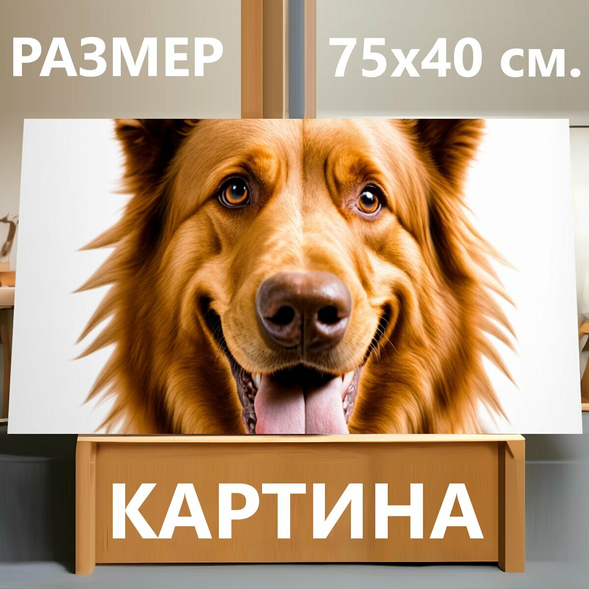 Картина на холсте "Коричневая овчарка с длинной шерстью и большими ушами, улыбающаяся, с языком, высунутым изо рта. Фон светлый и однотонный." на подрамнике 75х40 см. для интерьера