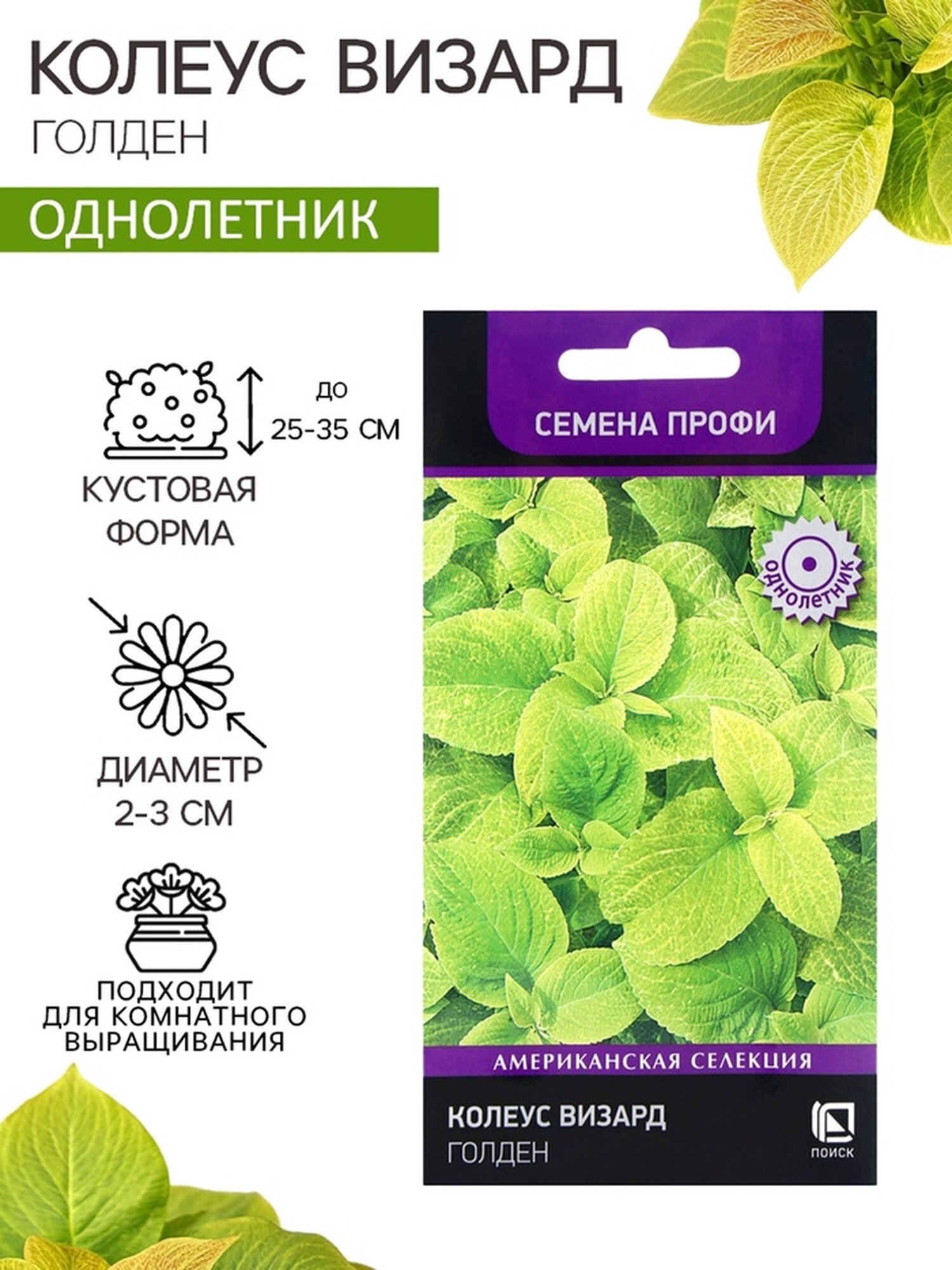 Семена цветов поиск "Колеус Визард Голден", низкорослый, 35 см, 10 шт