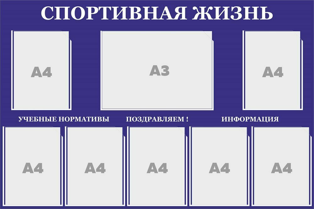 Стенд "Спортивная жизнь" 1200 х 800, пластик 3 мм, карман А4-7шт, карман А3-1шт. (цвет -синий) Синий