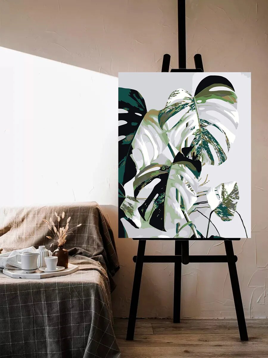 Картина по номерам Монстера Альба Вариегатная Цветы Monstera