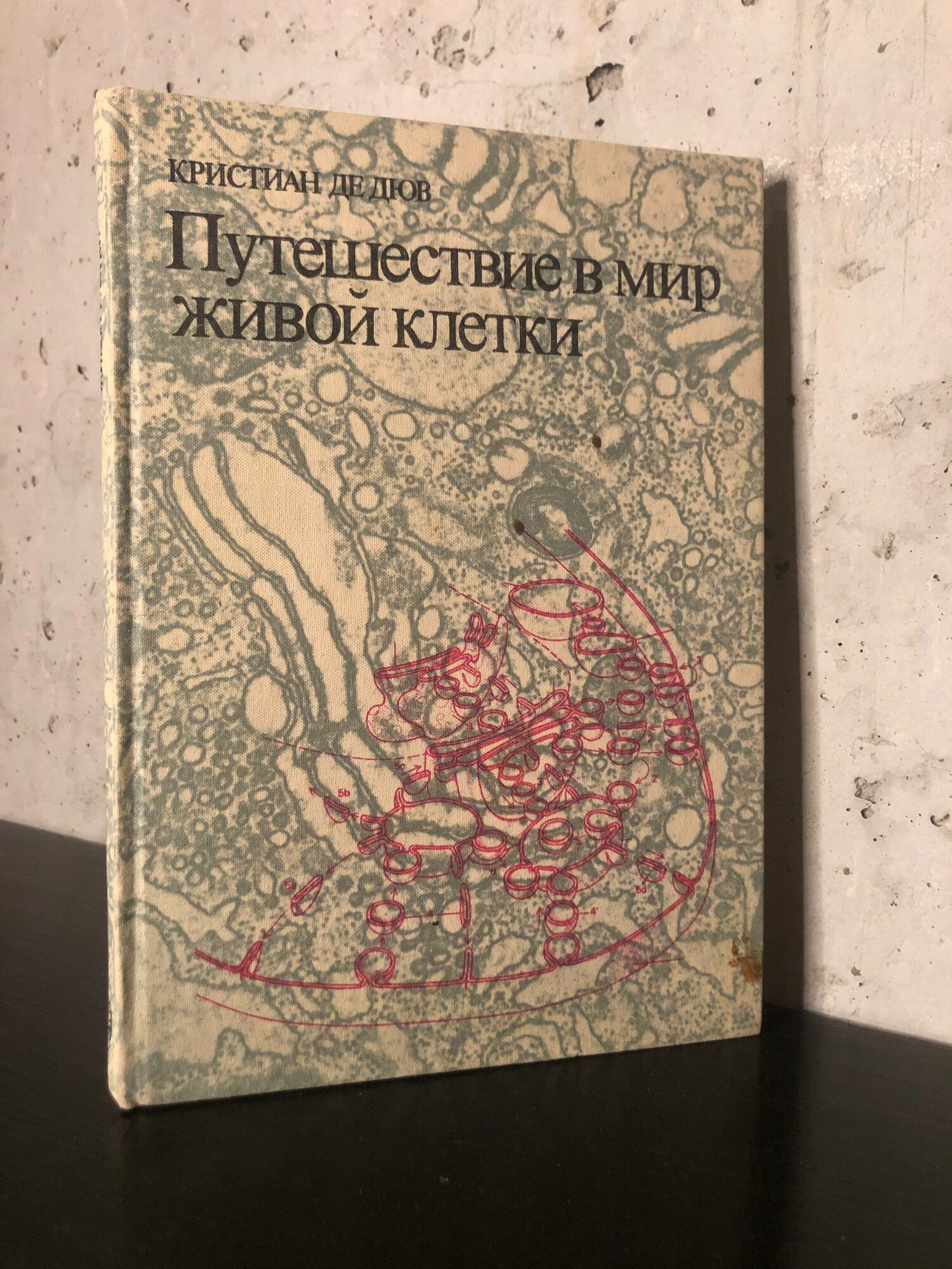 Путешествие в мир живой клетки