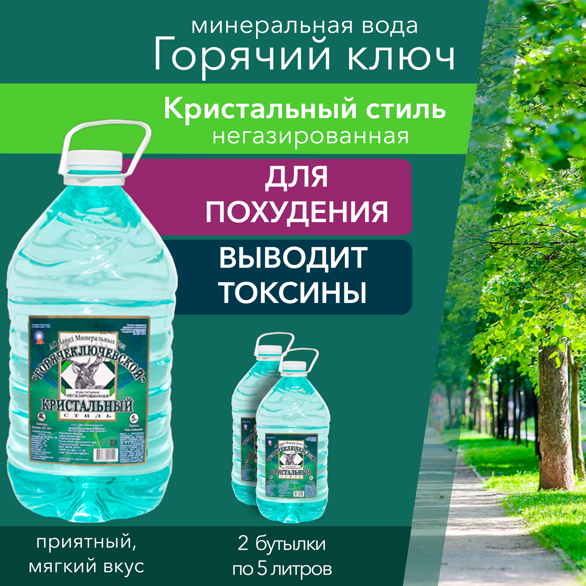 Вода Горячий Ключ Кристальный стиль. Объем 5л*2. Вода минеральная питьевая негазированная природная, выводит токсины,
