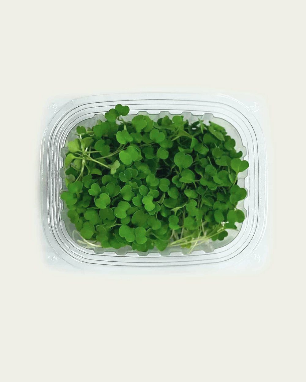 Микро руккола (50 грамм)