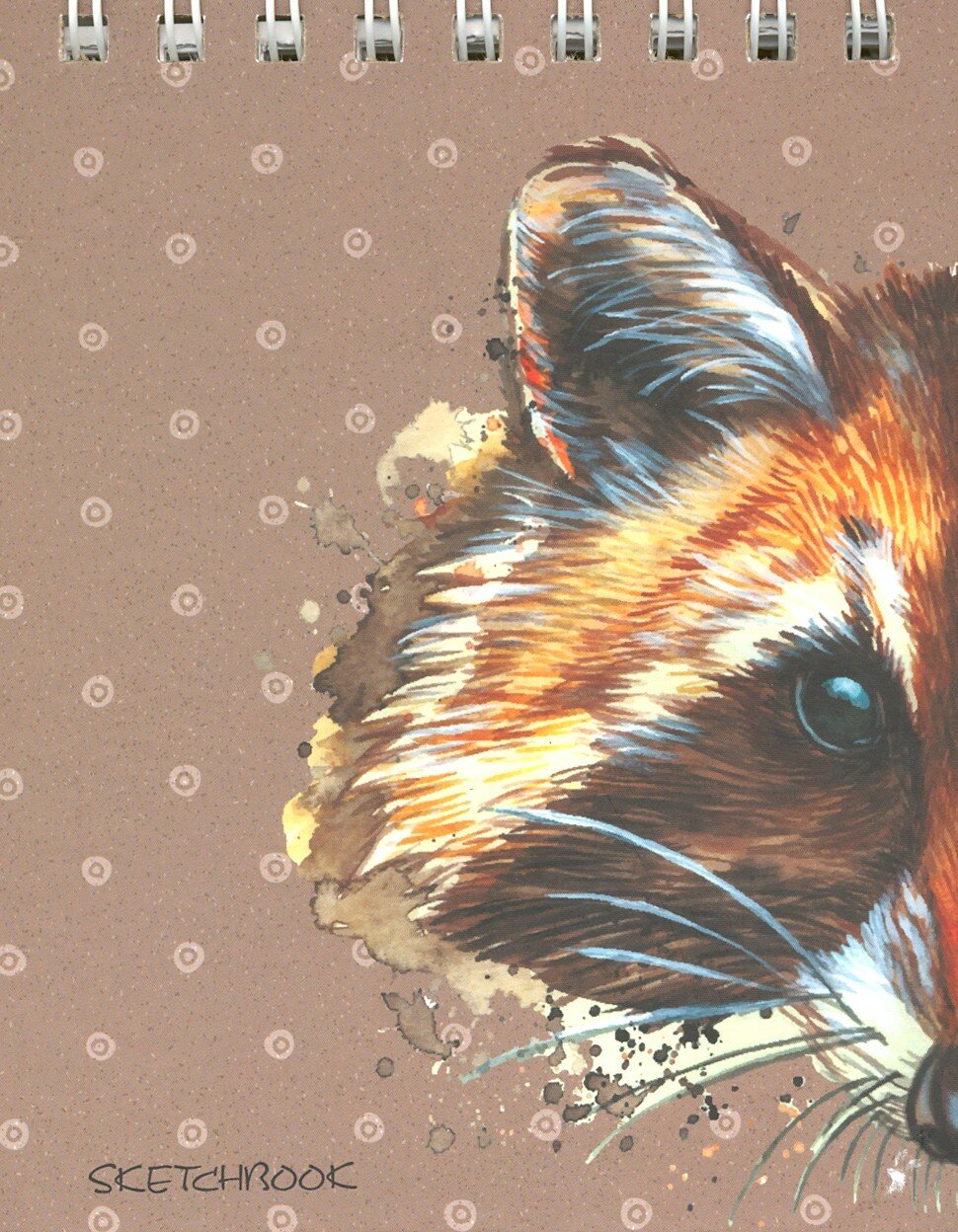 Скетчбук "Хитрый енот" (80 листов, А6+, евроспираль) (ТС6804658)