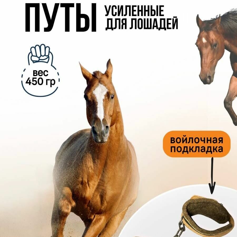 Путы для лошадей усиленные