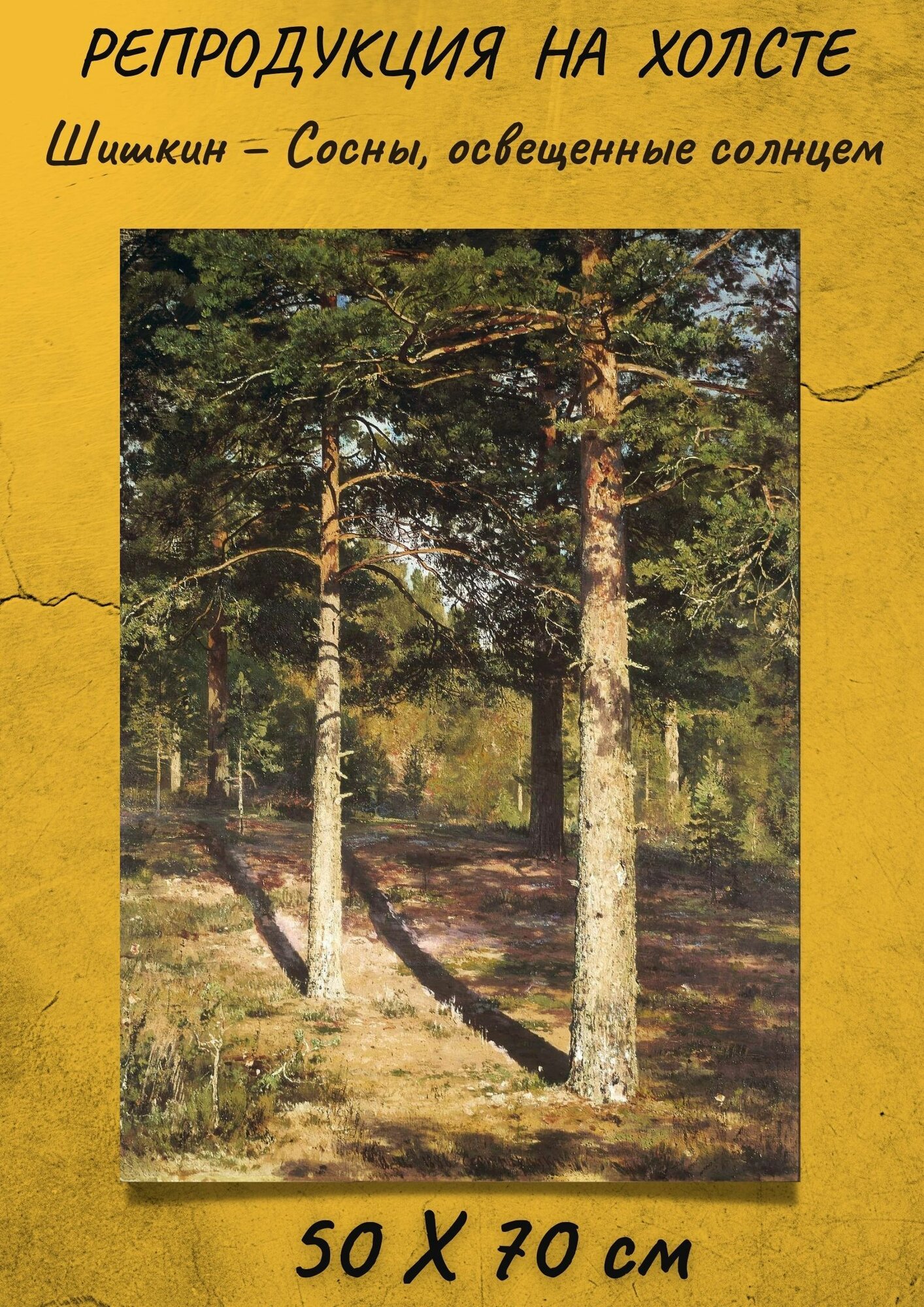 Картина Иван Шишкин - Сосны, освещенные солнцем