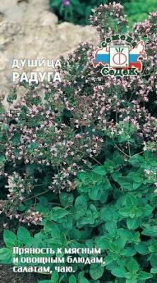 Семена душицы "Радуга" 10 упаковок по 0,05 гр - растение прямостоячее, раскидистое, высотой 65-70 см. Листья среднего размера, светло-зеленые, ароматные.