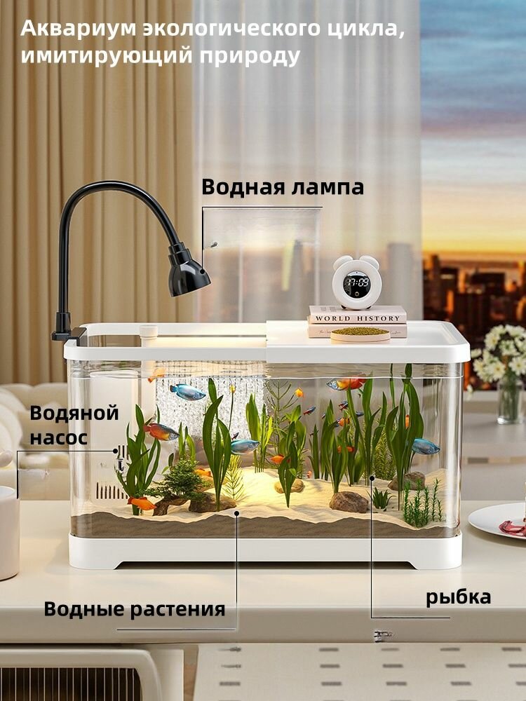 Аквариум