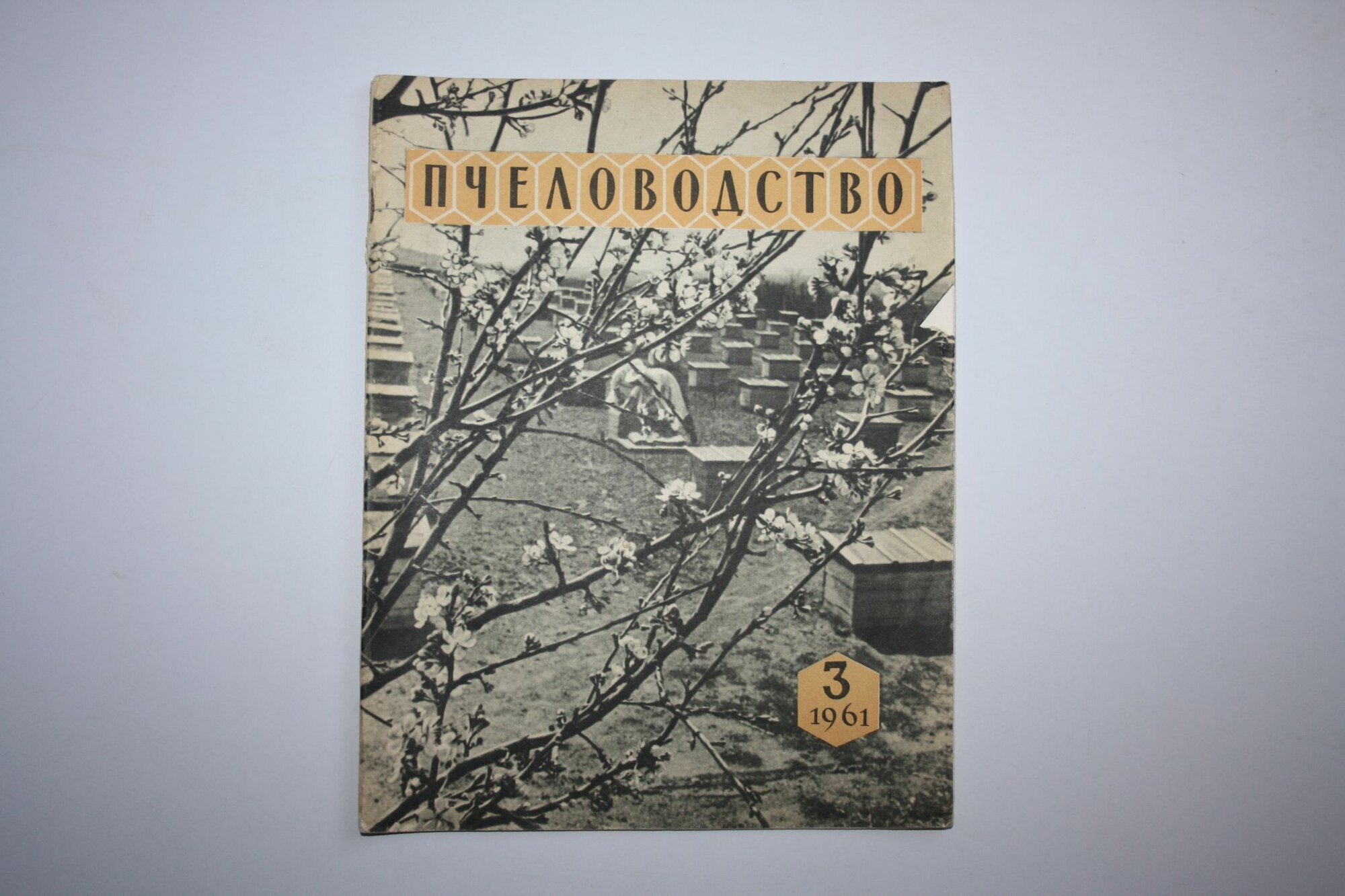 Журнал Пчеловодство № 3, 1961