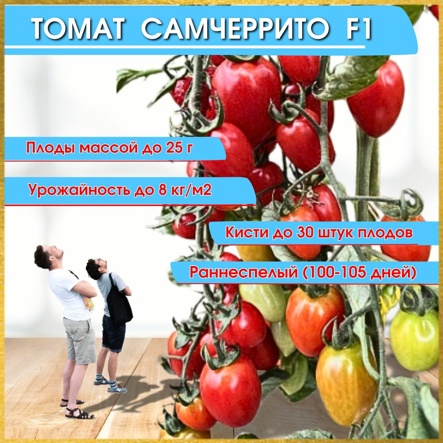 Семена Томат Самчеррито F1 (2 упаковки)