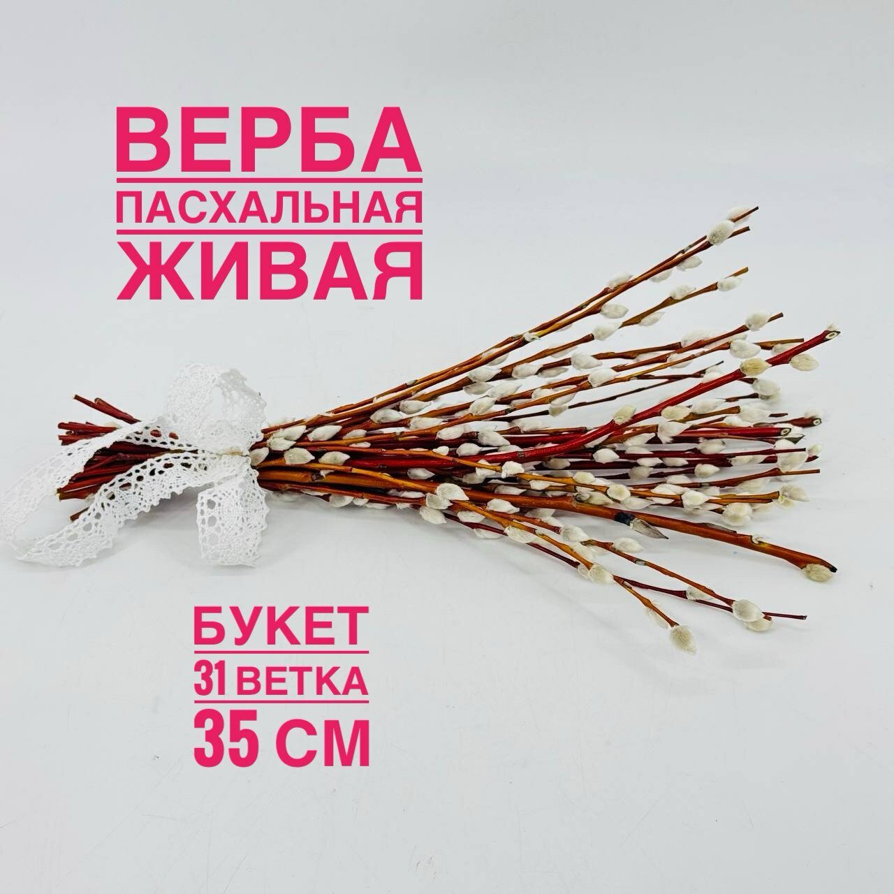 Букет из вербы на Пасху. Верба живая красноталка 31 ветка